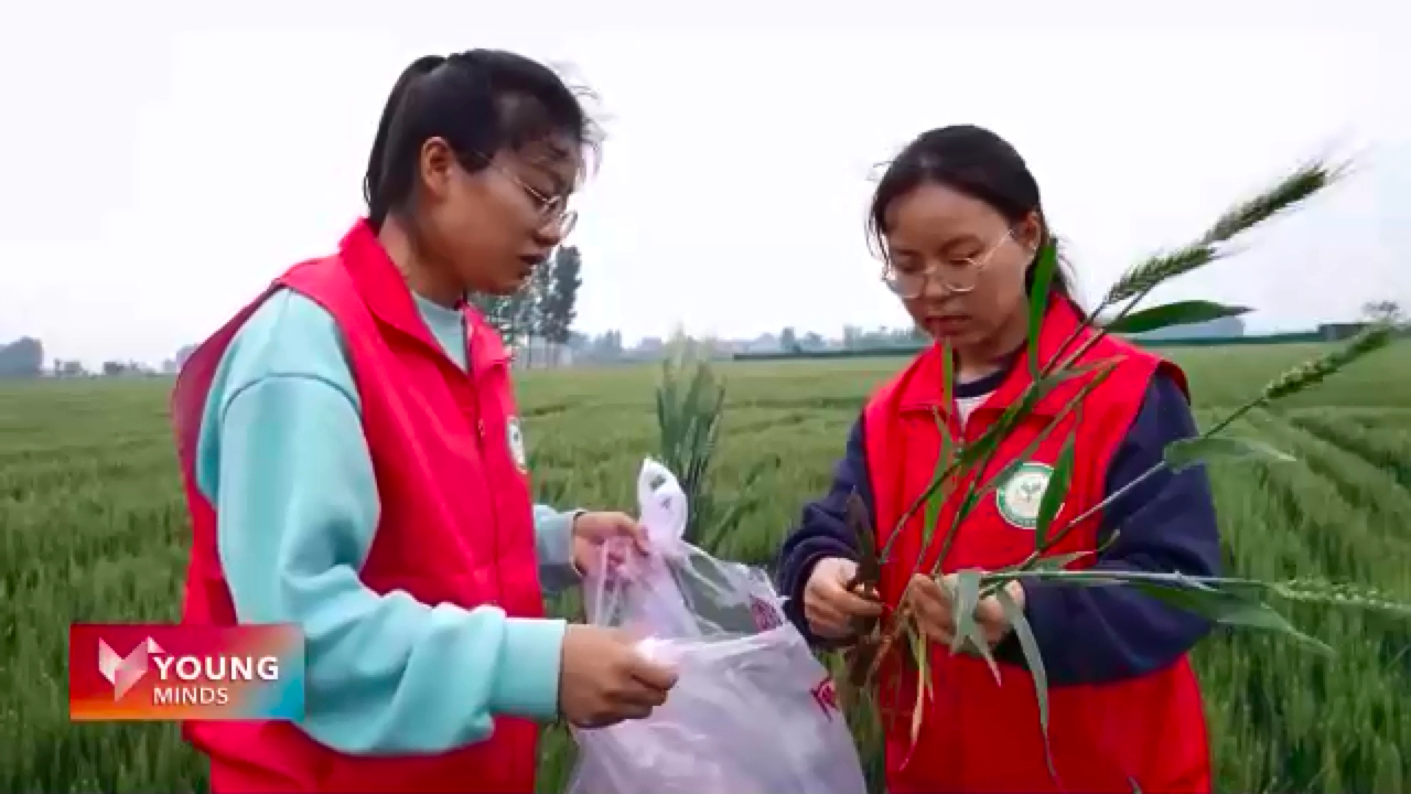 Си Цзиньпин поздравил молодых китайцев с Днем молодежи Cgtn на русском