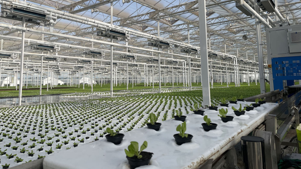 Си Цзиньпин направил поздравительное письмо в адрес форума ШОС по сокращению бедности и